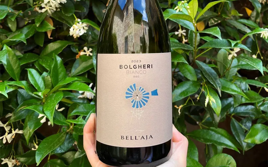 Bolgheri bianco DOC Bell'Aja Bianco vol, 12,5% - Bell'Aja, 750 ml | TUMN