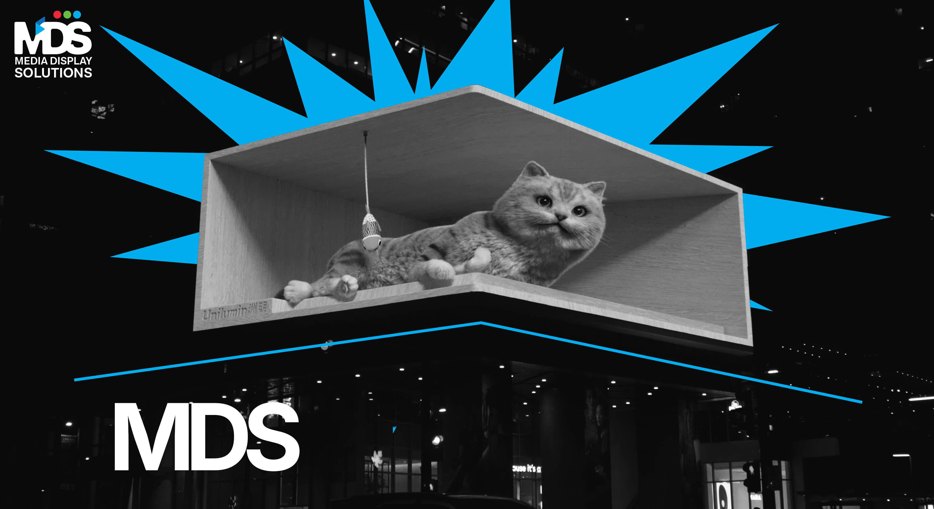 United Neon Media Group