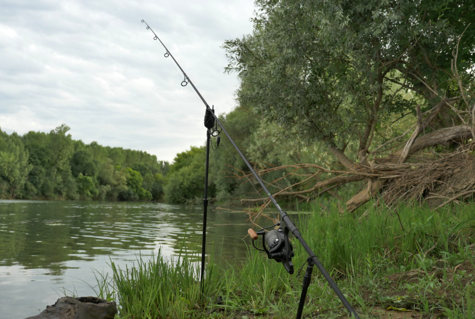 TopList : Poisson - Quel est ton poisson de riviere préféré ? 🎣
