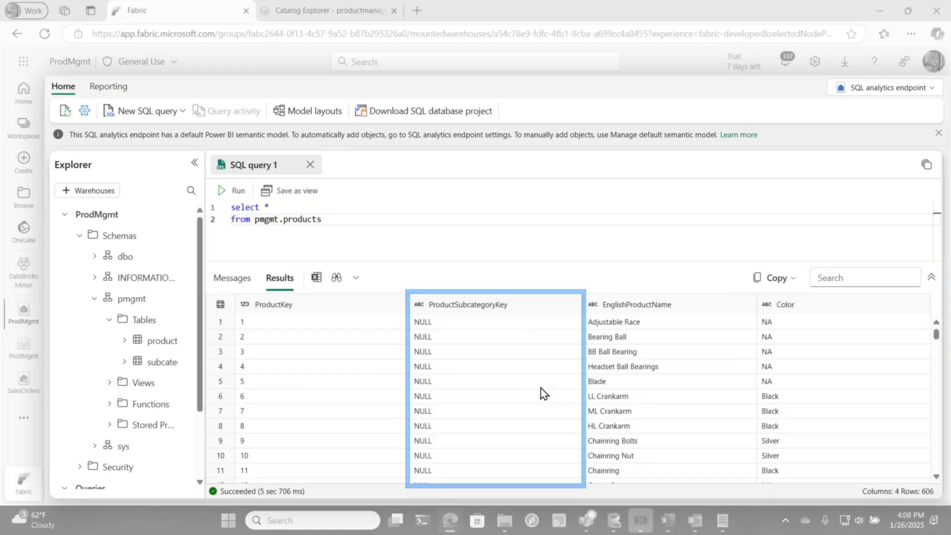 Unlocking the Potential of Azure Databricks with Microsoft Fabric ...