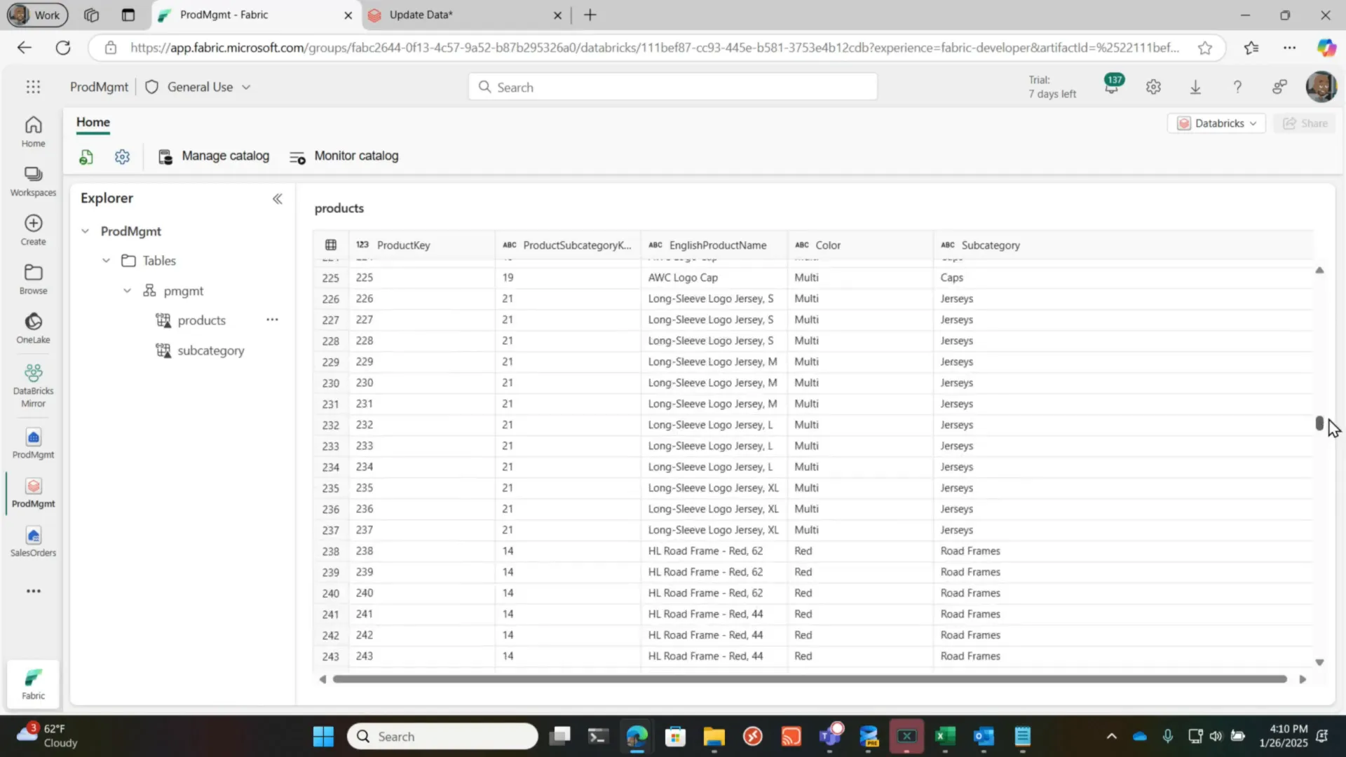 Unlocking the Potential of Azure Databricks with Microsoft Fabric ...
